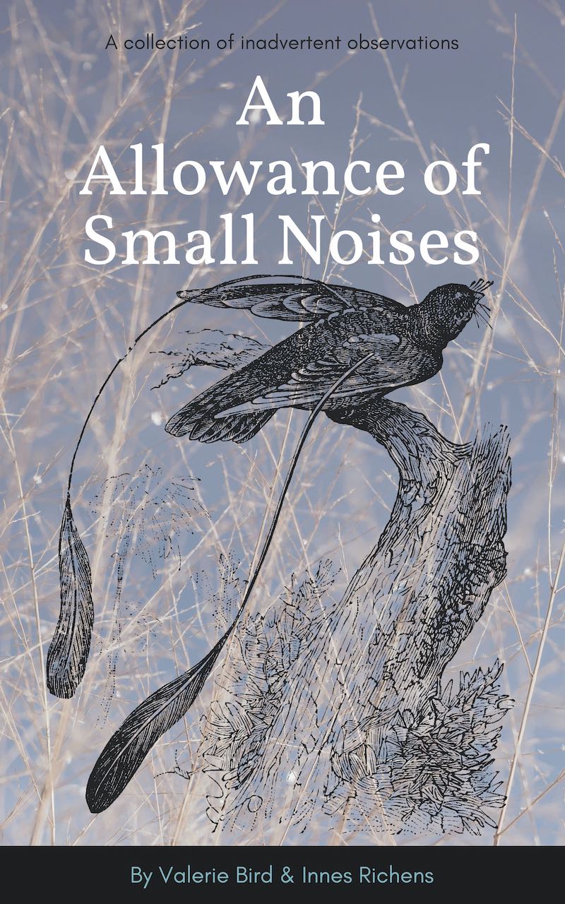 An Allowance of Small Noises - Valerie Bird